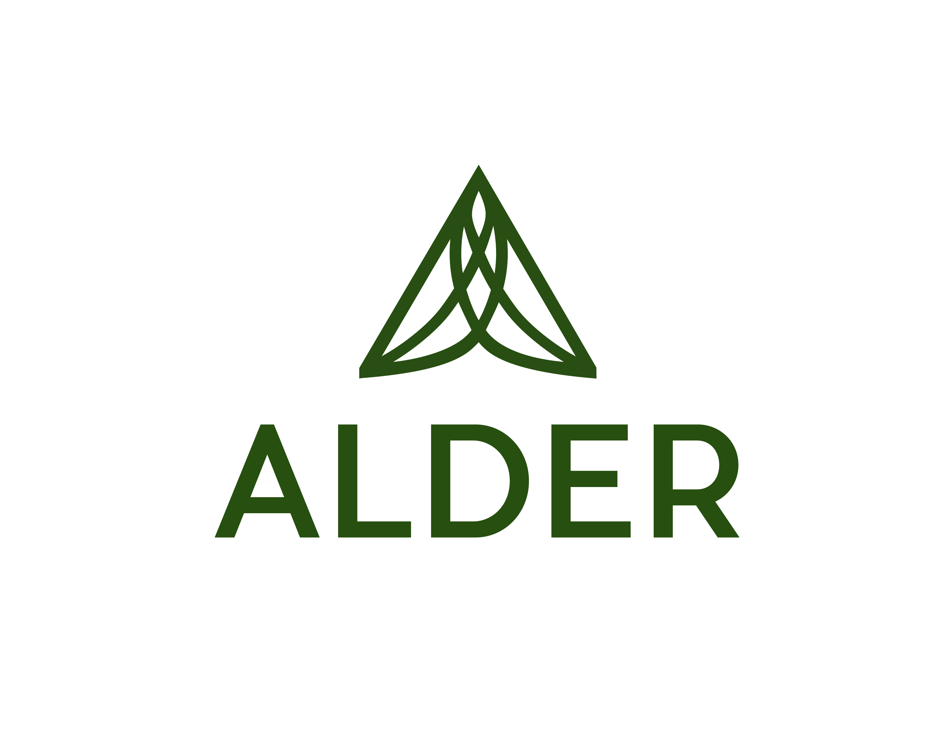 Alder Partner